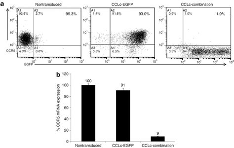 Downregulation Of Ccr5 Surface Expression And Mrna Levels In Transduced