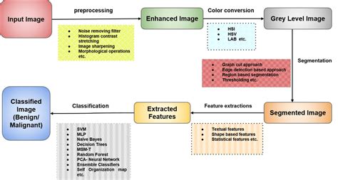 image analysis steps of a typical segmentation based image processing