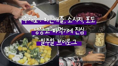 냉장고 파먹기에 진심인 브이로거ㅣ핫바야채볶음ㅣ파인애플볶음밥ㅣ포도주스만들기ㅣ맘스터치 Youtube