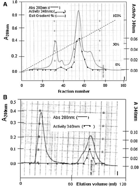 Chromatograms Obtained From The Purification Steps Of The Recombinant