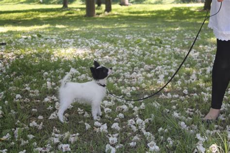 1erso14 Free Image Hosting Service