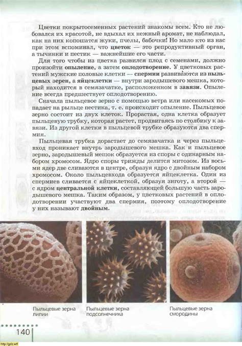 Биология за 6-ой класс - Н.И.Сонин. Биология 6-ой класс. Учебник. #138