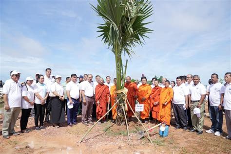 ដើម ត្នោត ជាង ៧ ០០០ ដើម ត្រូវ បាន អាជ្ញា ធរ ខេត្ត កំពត ដាំ នៅ តំបន់ ព្រំ ដែន កម្ពុជា វៀ ត ណាម