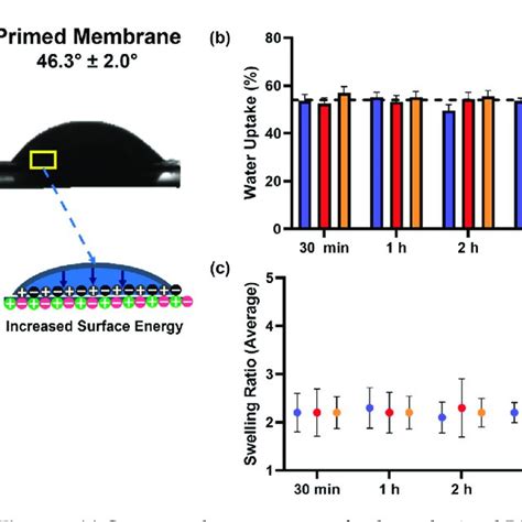 A Contact Angle Measurements For Dry And Primed Pclpeo Membranes