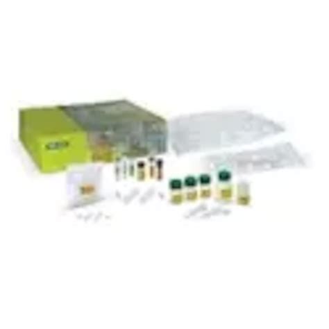 Genetics And Dna For School Science Activity Kits And Models