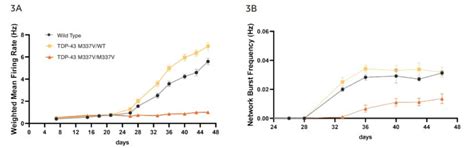 Functional Phenotypic Characterization Of Precision Reprogrammed Human