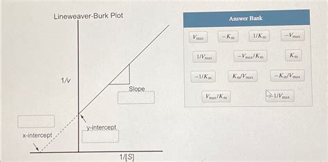 Solved Fill In The Blanks Lineweaver Burk Plot