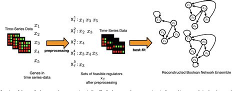figure 2 from reconstructing boolean network ensembles from single cell
