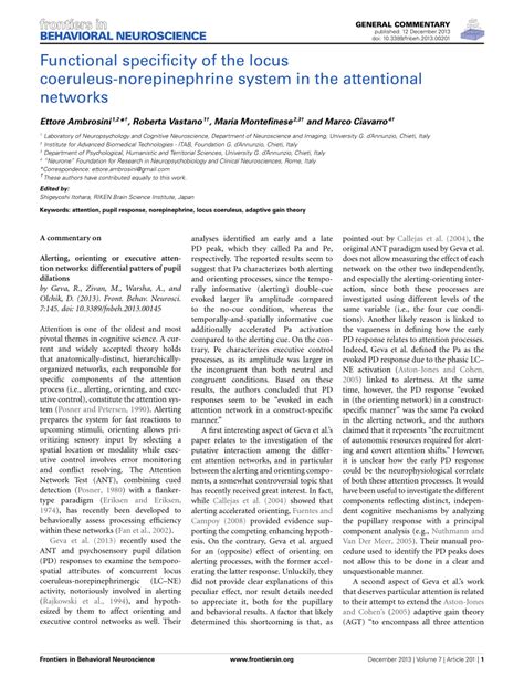Pdf Functional Specificity Of The Locus Coeruleus Norepinephrine