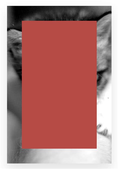 Color Opacity Not Working For Hsla · Issue 1575 · Diegomurareact Pdf