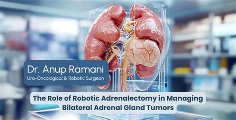 The Role Of Robotic Adrenalectomy In Managing Bilateral Adrenal Gland