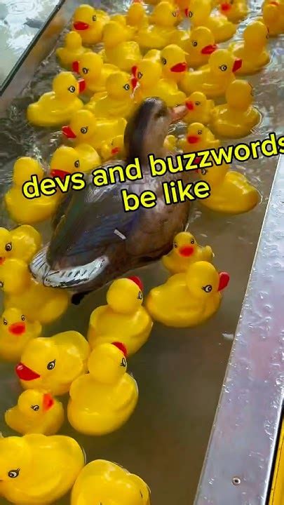 Devs Be Like Coding Programming Youtube