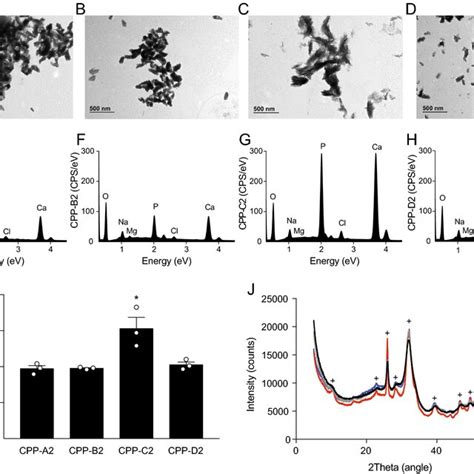 morphological and elemental characteristics of the different cpp2