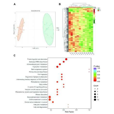 Metabolomics Analysis In Negative Mode A Opls Da Score Plot Of