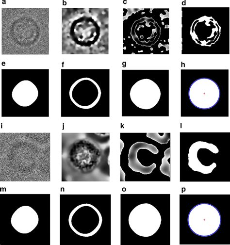 Perfect Good” 2d Top View Particle Selection Based Fully Automated