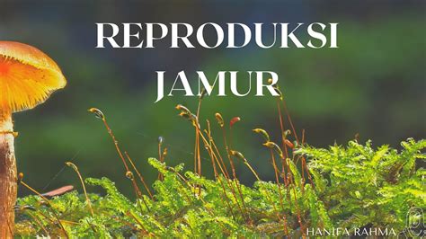 Reproduksi Seksual Basidiomycota Youtube