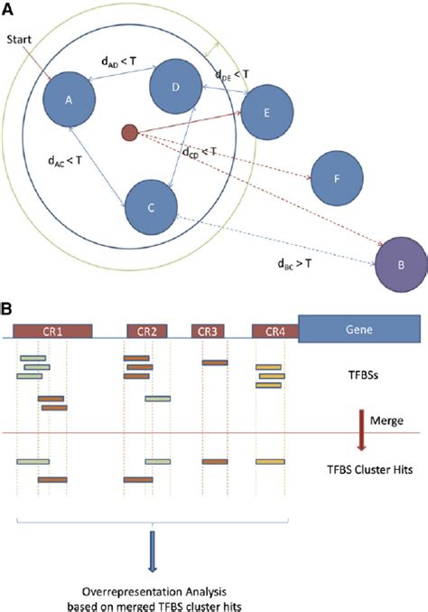 Tf Structural Families And Tfbs Clusters As Many Tfs Cannot Be Download Scientific Diagram