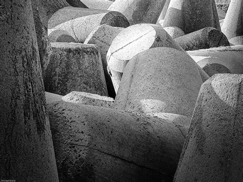 Tetrapod Michael Brand Flickr