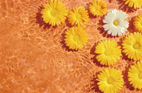 사랑하는 마음으로 Elohist