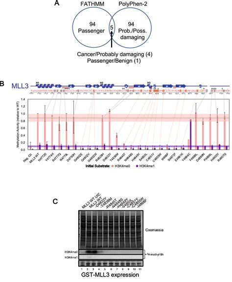 Parallel Functional Annotation Pfa Of Cancer Associated Histone