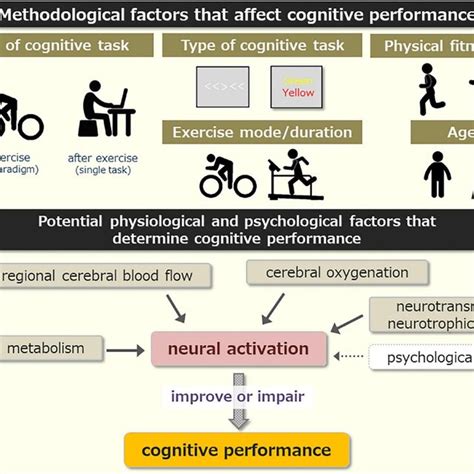 Upper Summary Of Methodological Factors That Affect Cognitive Download Scientific Diagram