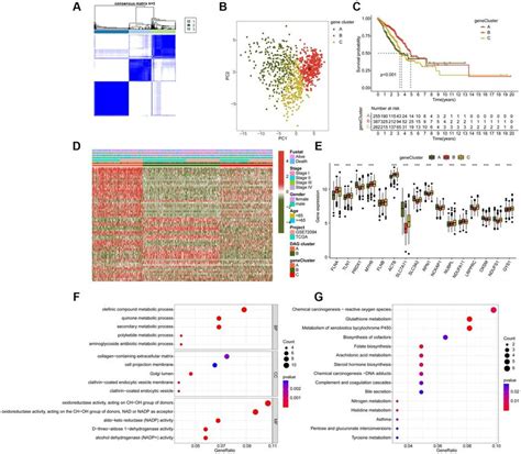 Molecular Characteristic Of Dag Related Gene Cluster Subtypes In Luad