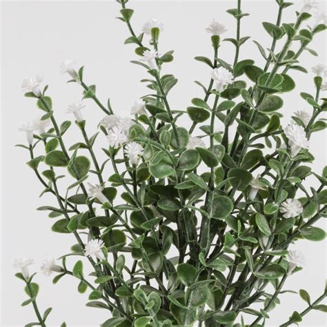 Dólar Mini Blanco Salas Monterrey