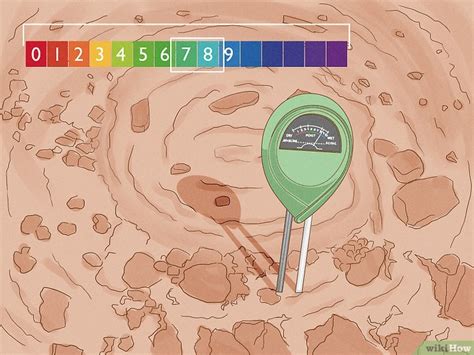 How To Adjust Soil PH Raising Lowering PH Levels