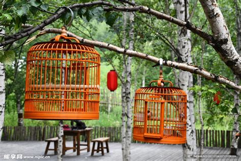 鸟笼摄影图 国内旅游 旅游摄影 摄影图库 昵图网