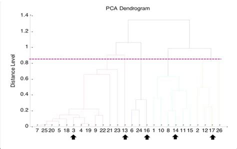 Principal Component Analysis Pca Dendrogram Generated From Bruker Download Scientific
