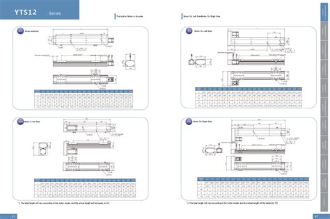 Precision Ball Screw Driven Linear Actuator Module Track Axis Micclan
