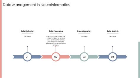 Neuroinformatics Data Integration Neuroscience Research Ppt Sample St