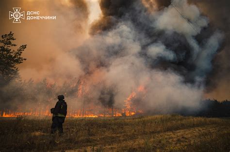 На Донеччині ліквідували масштабну лісову пожежу Цензор НЕТ