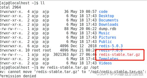 虚拟机（vmware）linux系统（centos）安装redis教程在虚拟机上运行redis需要安装前置什么 Csdn博客