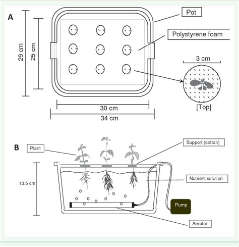 Figure 1 From Nodulation Nitrogen Fixation And Growth Of Rhizobia Inoculated Cowpea