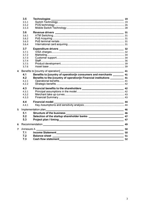 Business Plan Template For An Interoperable Mobile Payment Switching Platform Banking And