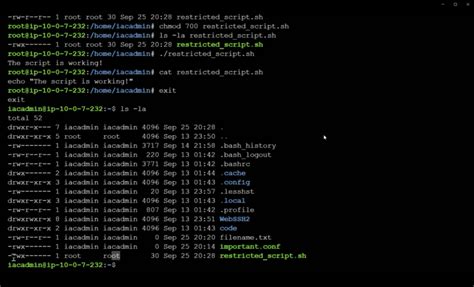 Linux Vs Windows Server Academy