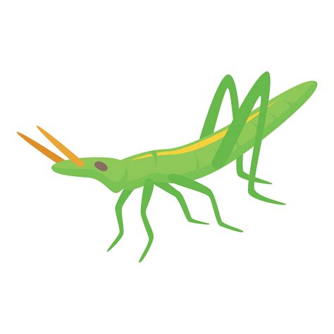 Grasshopper Icon Isometric Vector Nature Insect 40270554 Vector Art At Vecteezy