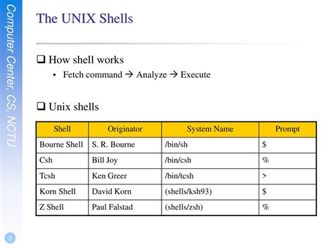 shells ppt download