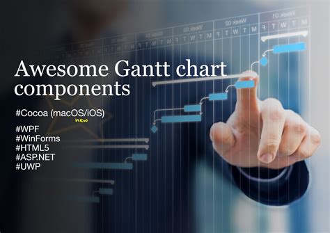 Dlhsoft Gantt Chart Libraries