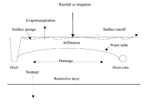 An Overview Of Components In The Water Balance Of The Drainmod Model Download Scientific Diagram