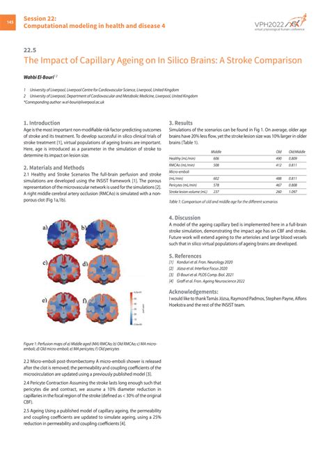 Pdf The Impact Of Capillary Ageing On In Silico Brains A Stroke