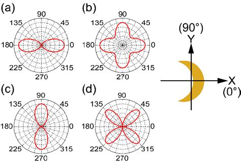 Polar Plots Of Sh Intensity As A Function Of The Polarization Angle Of