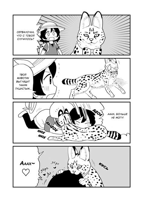 Anime Ero Yuri Лесбухи 4koma Silky Anteater Kemono Friends