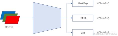 centernet详解——数据加载代码篇 centernet代码 csdn博客