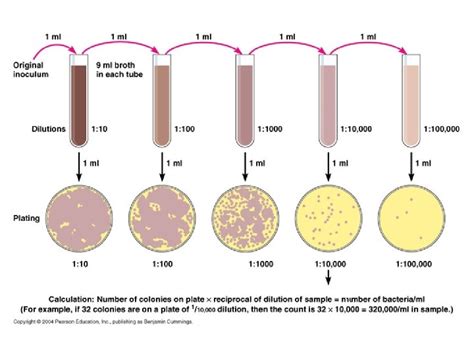 Bacterial Count Bacterial Count Total Bacterial Count Viable