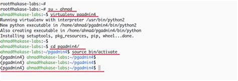 Wie Man Postgresql Und Pgadmin4 Auf Ubuntu 1804 Lts Installiert