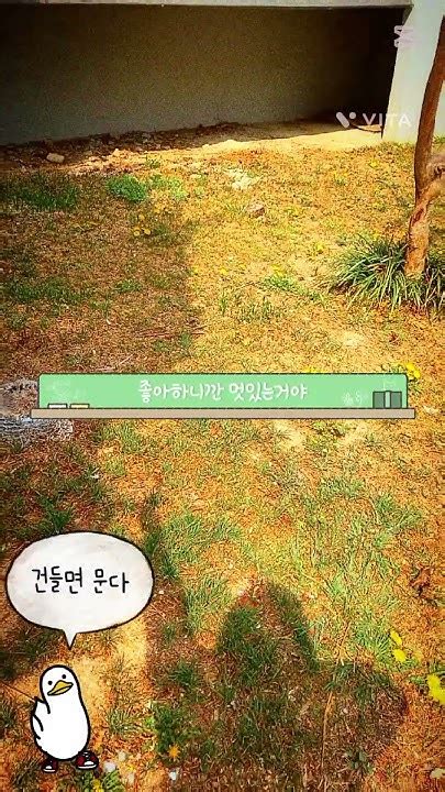 잠수타서 죄송해요ㅠ 어마니가 폰을 압수해서 ㅠ관리자님잘생겼어요 슈냐알고리즘아부탁해 Youtube