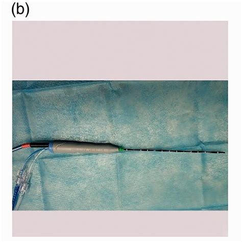 The Equipment Used For Microwave Ablation Mwa Eco 100a1 Microwave Download Scientific