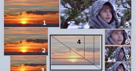 How To Crop Pictures Into Shapes That Fit Blogs And Social Media The Correct Way Out Of Many